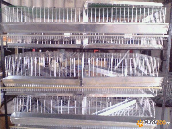 Prepelite, custi, standuri - Hobby-Zoo.ro
