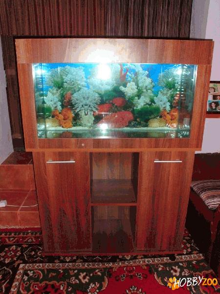 vand acvariu 175 litri - Hobby-Zoo.ro